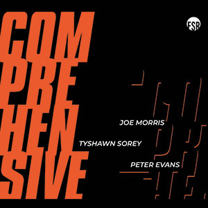 Joe Morris/Tyshawn Sorey/Peter Evans: Comprehensive